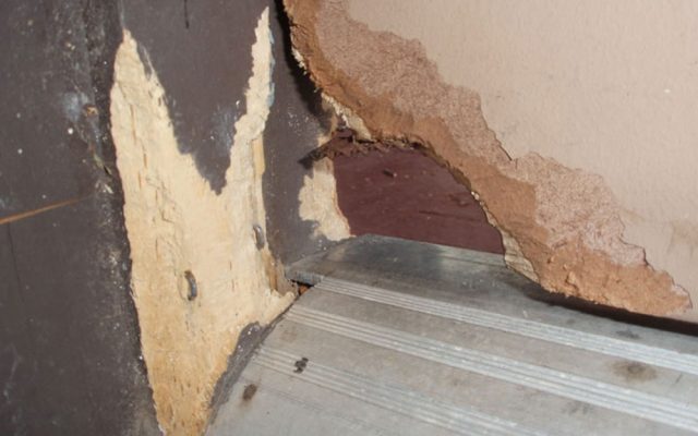 What damage can rats do to my house & health? - Pestology