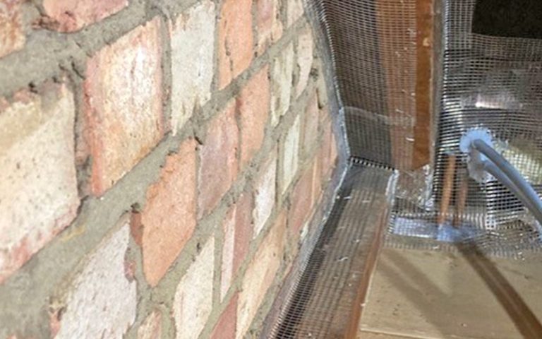 Rat Proofing Services by Pest Control Experts - Pestology